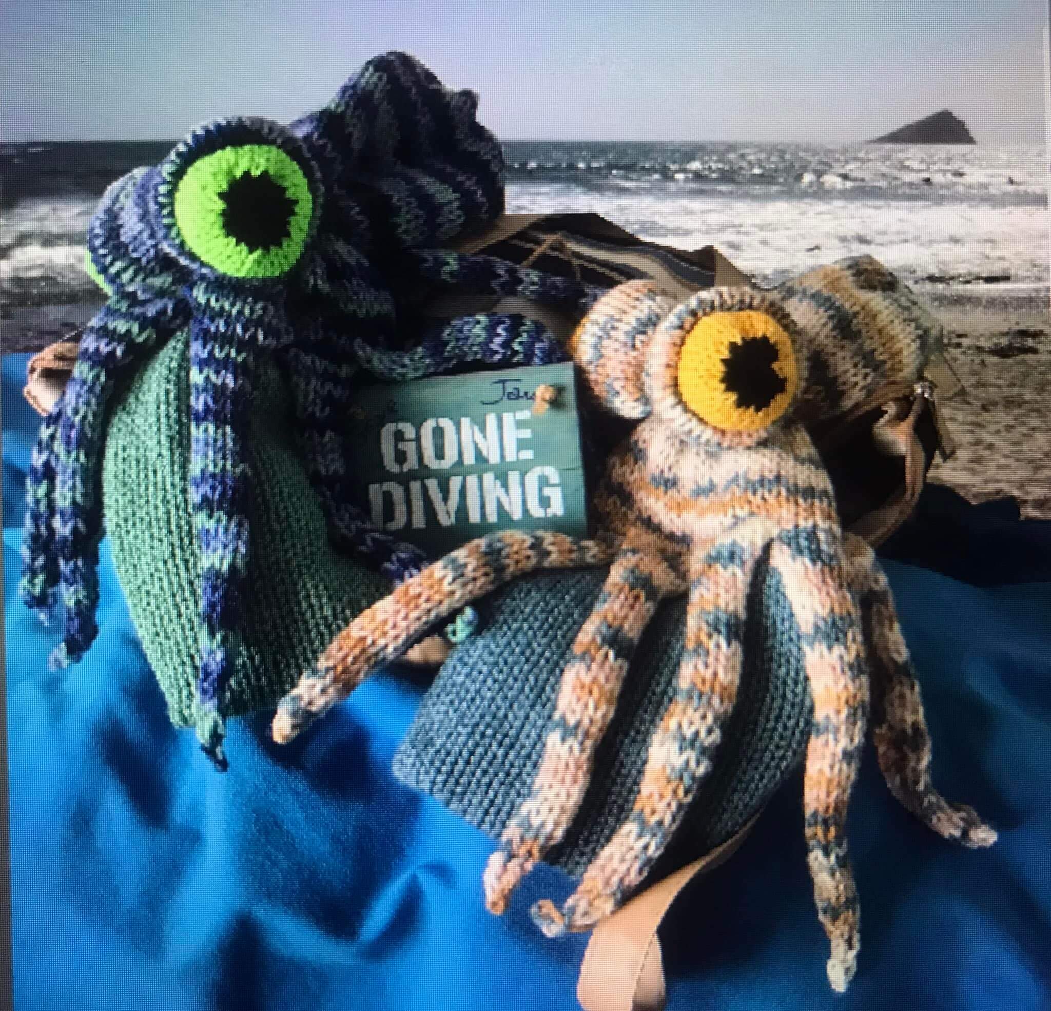 Octopus Hats - Steve Prior